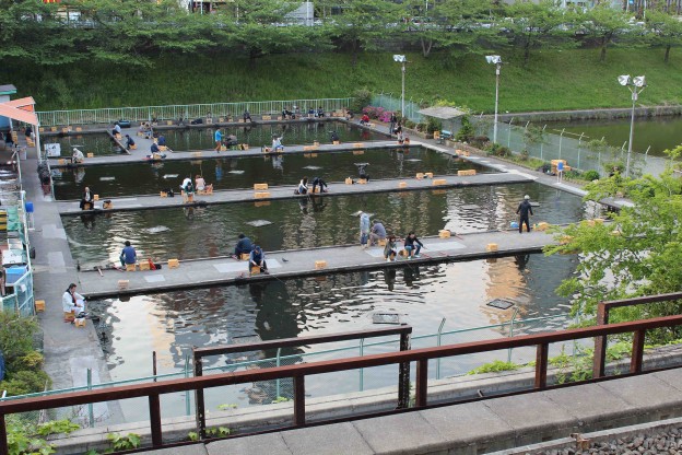 Rectangular Fishing Pool | Tony Blackmore